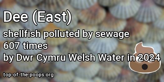 Top of the Poops | Shellfish Area | Dee (East)